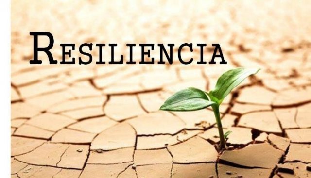 ¿qué Es La Resiliencia Asociación Mexicana De Psicoterapia Y Educación